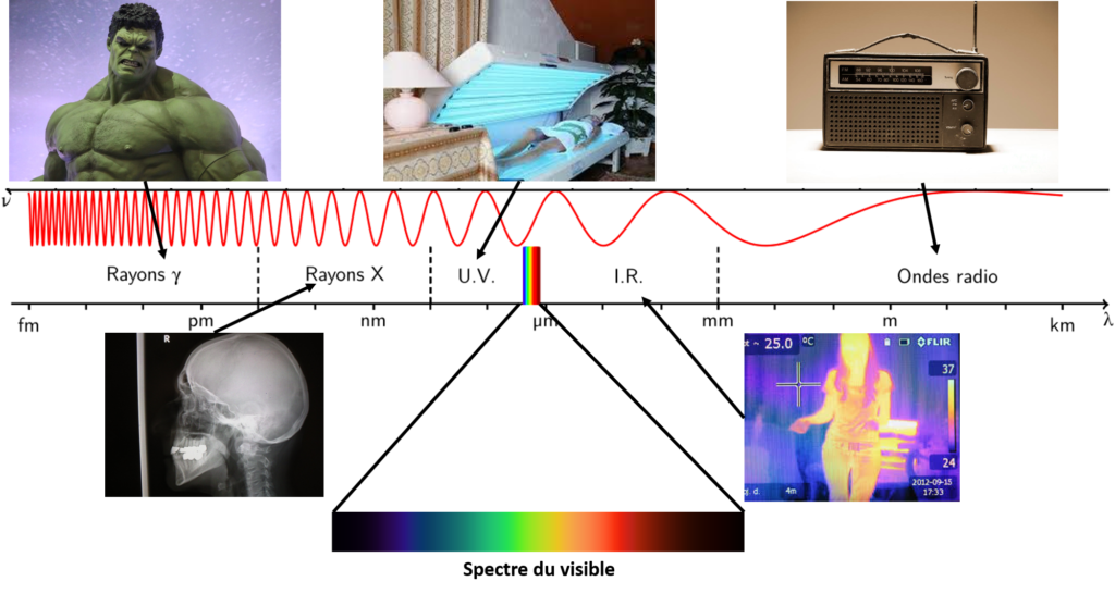 La vision des couleurs - Les Yeux Du Daltonisme